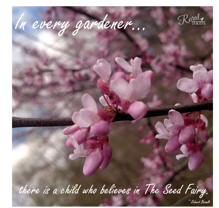 7 Gardening Quotes and Gorgeous Blooms to Inspire Your Spring Planting ...