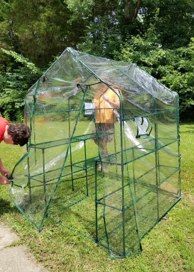 This Summer, Get Started with Greenhouse Gardening Rural Mom