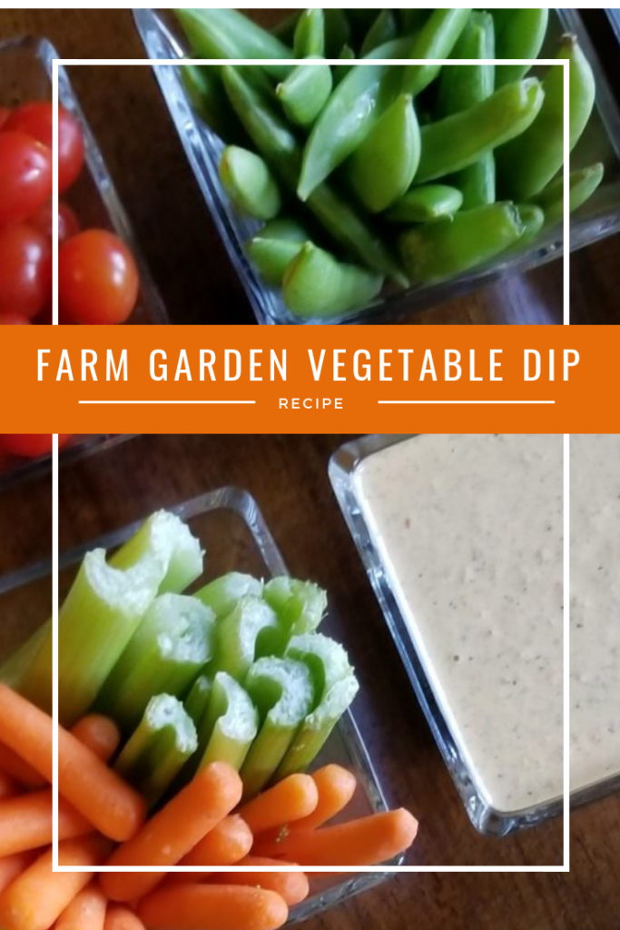 Rural Mom's Farm Garden Vegetable Dip Rural Mom