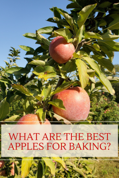 What Are The Best Apples for Baking? Rural Mom