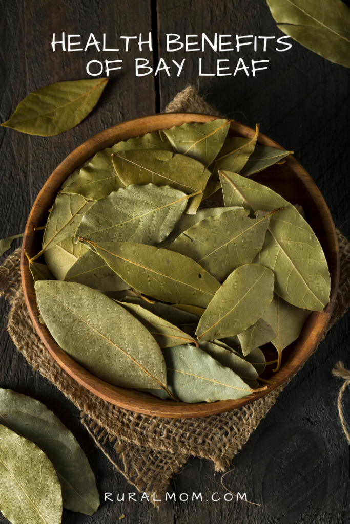 Steep This! Health Benefits of Bay Leaf Rural Mom
