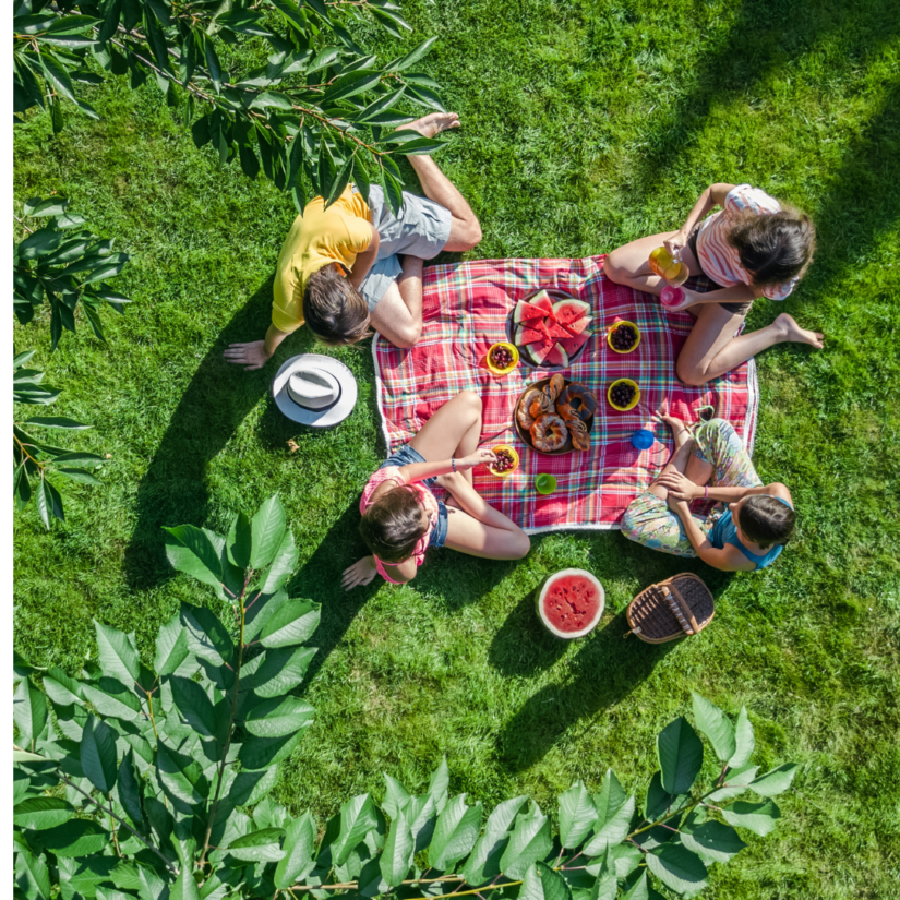 Family Picnic Ideas You'll Love Rural Mom