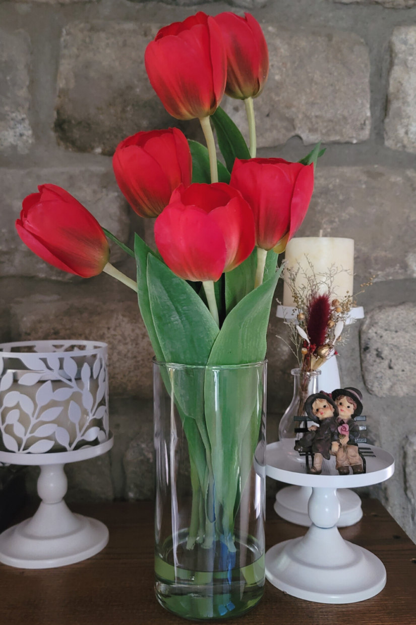 7 Best Flowering Plants for Valentines Day Rural Mom