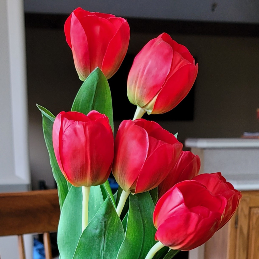 7 Best Flowering Plants for Valentines Day Rural Mom