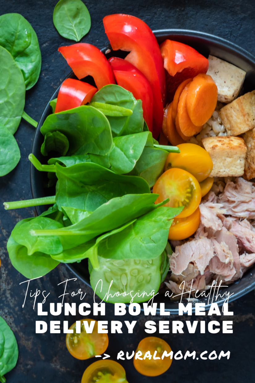 Tips For Choosing a Healthy Lunch Bowl Meal Delivery Service Rural Mom