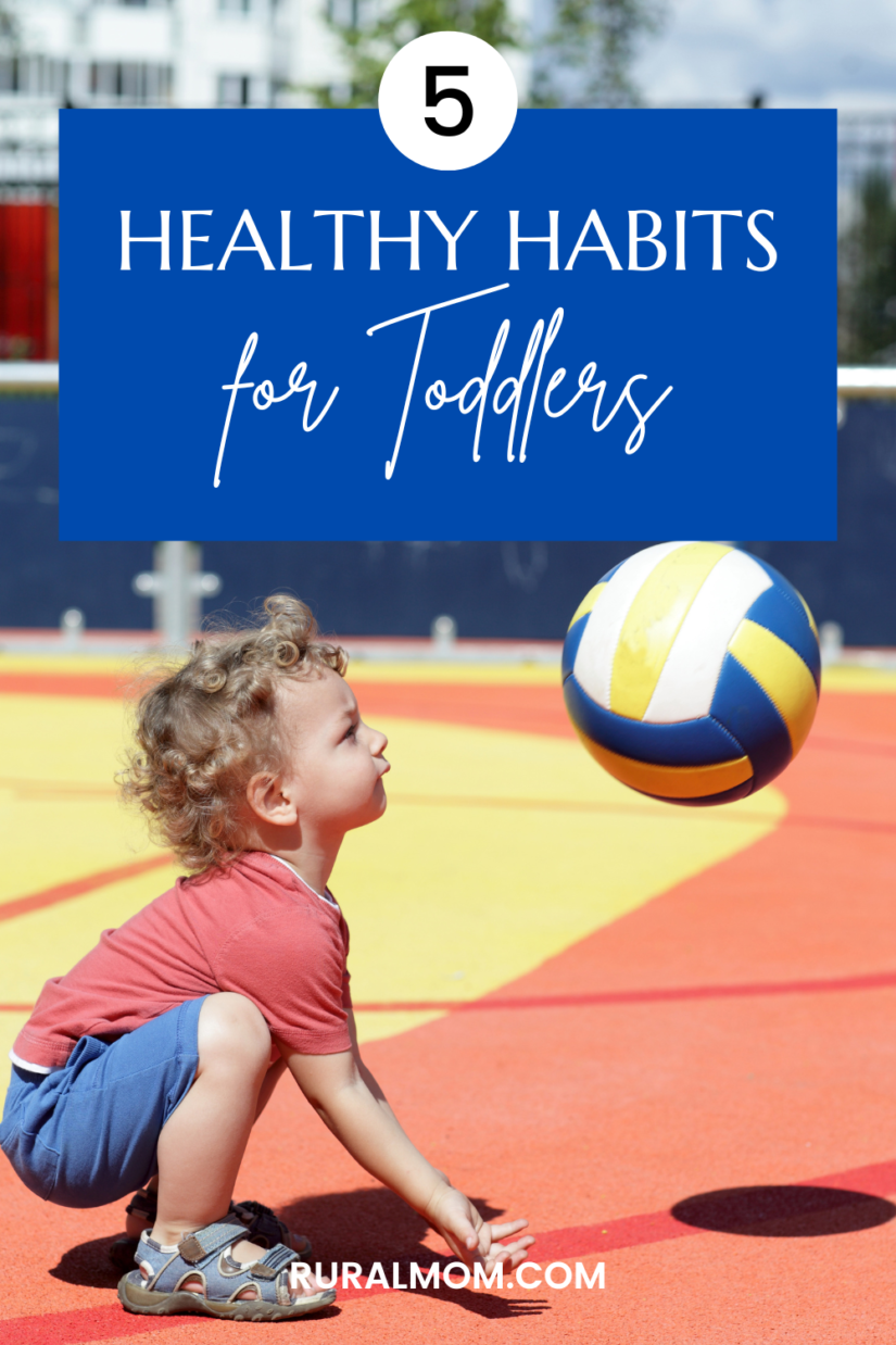 Tips and Tricks to Help Keep Your Toddler Healthy Rural Mom
