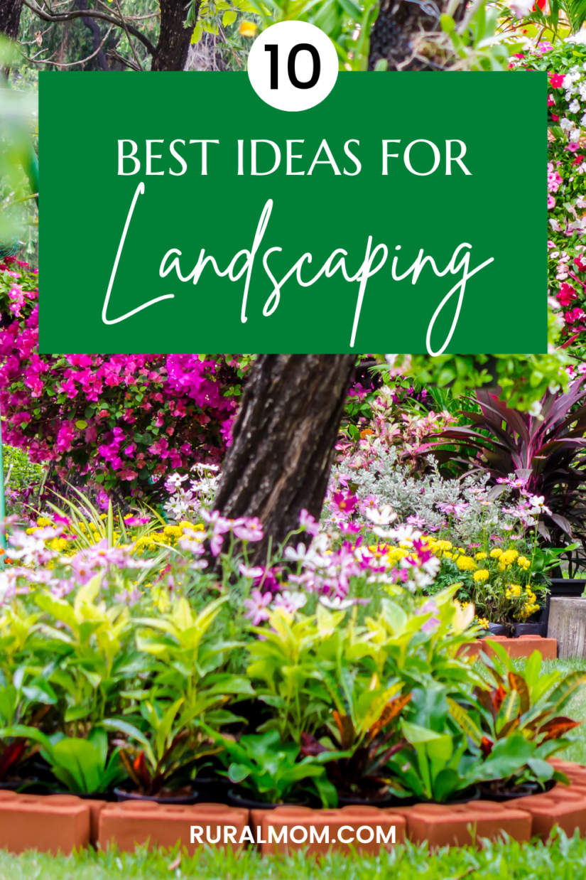 10 of the Best Landscaping Ideas Rural Mom