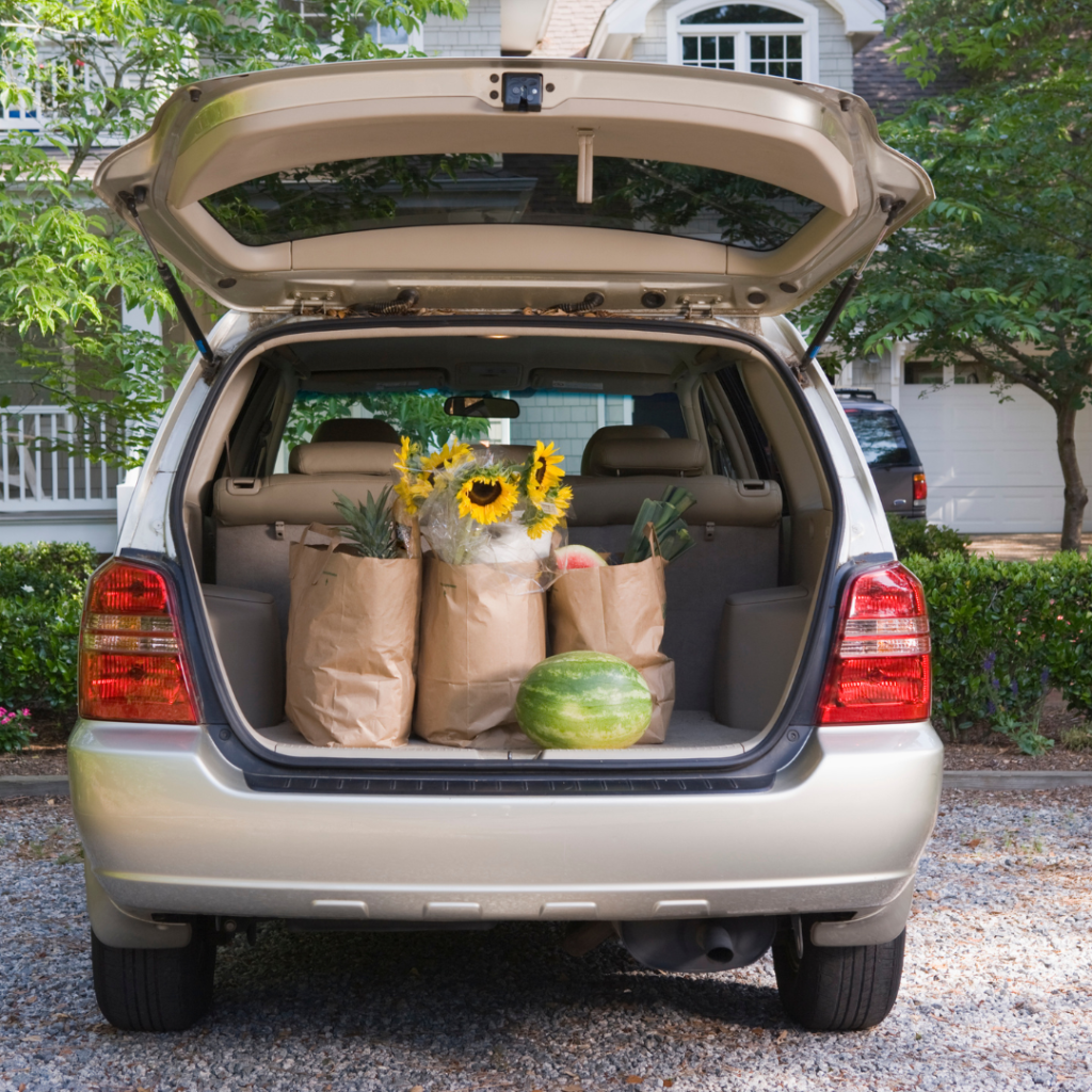 Best Tips for the Ultimate Mommy Van Rural Mom