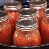Canning Versus Freezing: Easiest Ways to Preserve Tomatoes Rural Mom