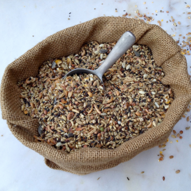 Want to make your own chicken feed? Here's what you need to know. Rural Mom