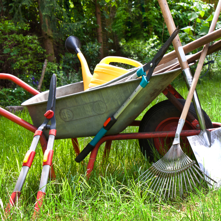 Spring Clean Your Lawn and Garden Rural Mom