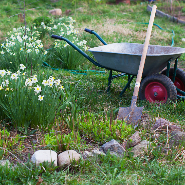 How Do I Prepare My Garden For Spring? Rural Mom