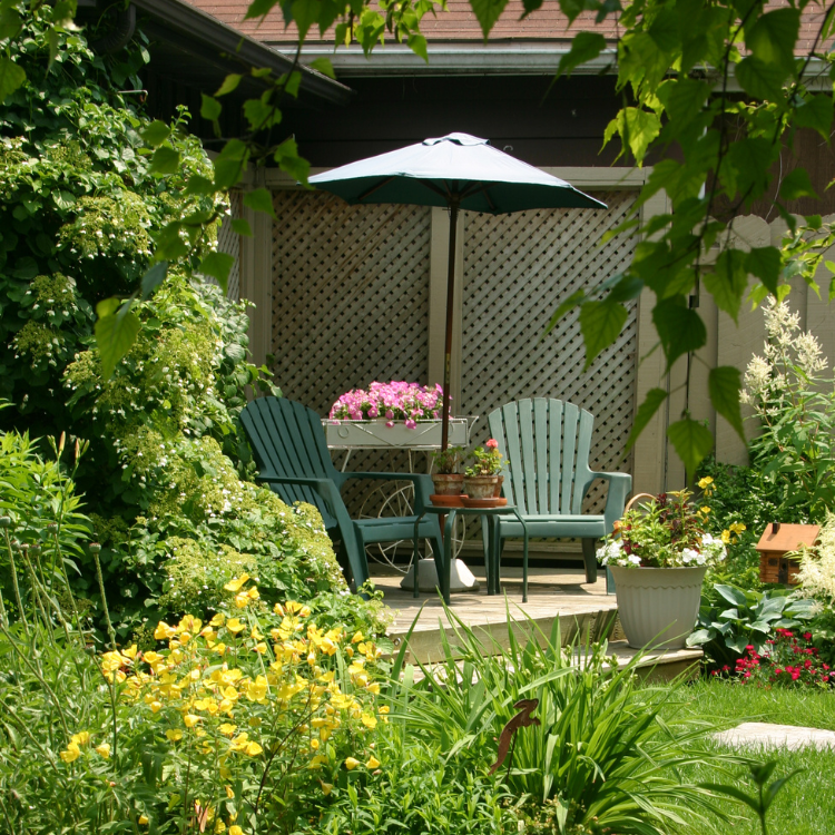 How to Create More Privacy in Your Backyard Rural Mom