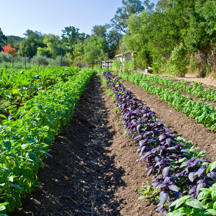 Keeping Land Project Environmental Costs Low Rural Mom