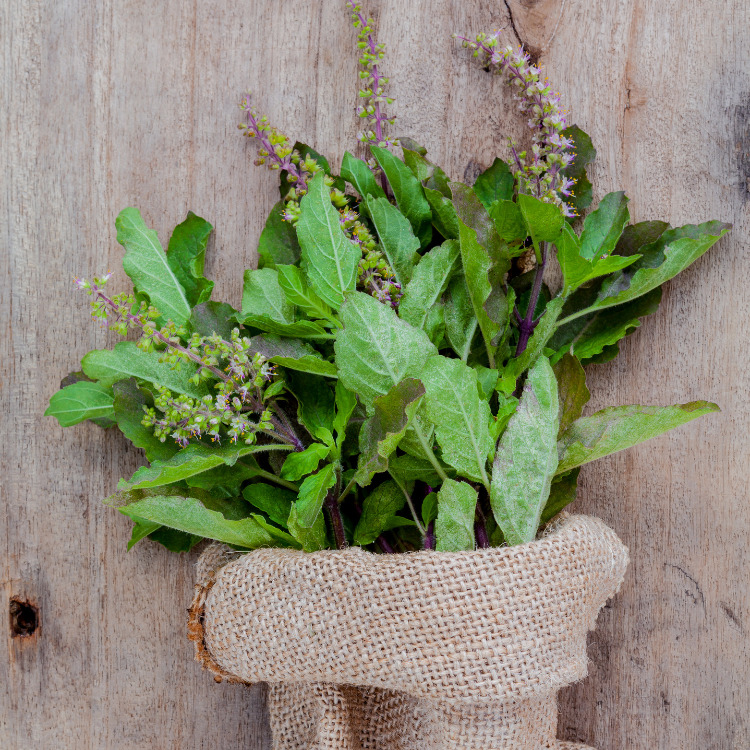 Stress Less this Holiday Season with Tulsi Rural Mom