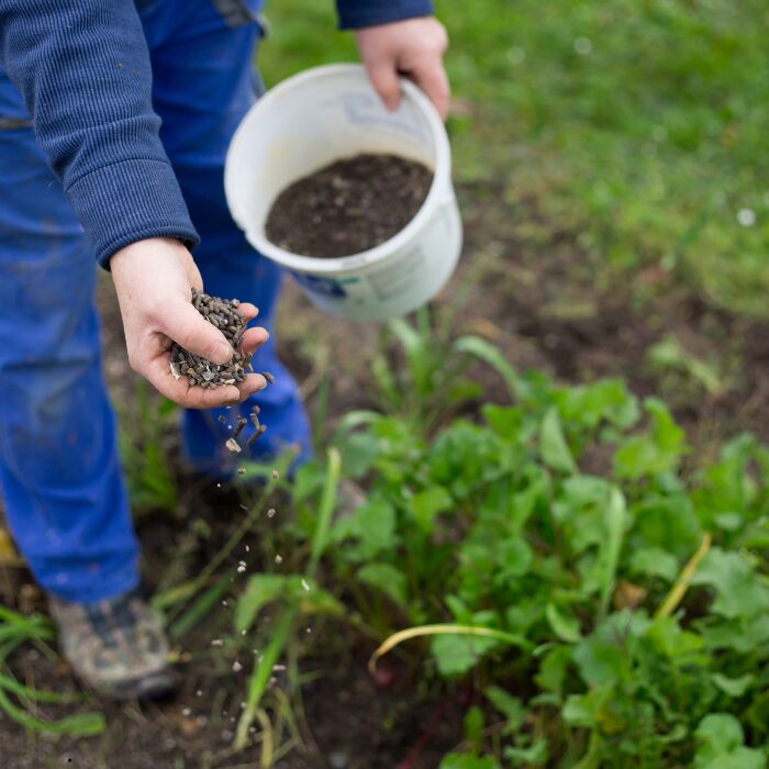 Sustainable Farming Practices Using Dry Fertilizer Rural Mom