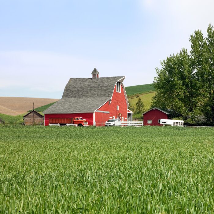 Moved Into A Farmhouse? Get These 4 Things Sorted Right Now Rural Mom