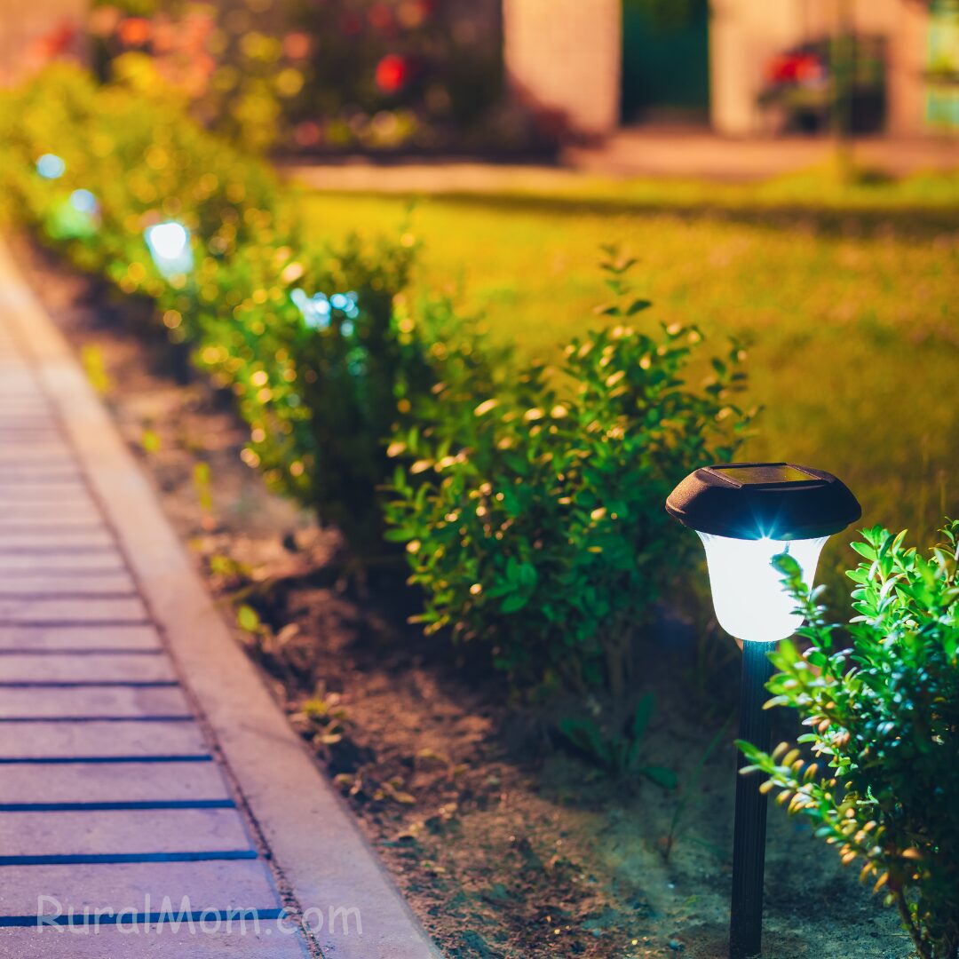 Eco-Friendly Landscaping Techniques for Modern Outdoor Spaces Rural Mom