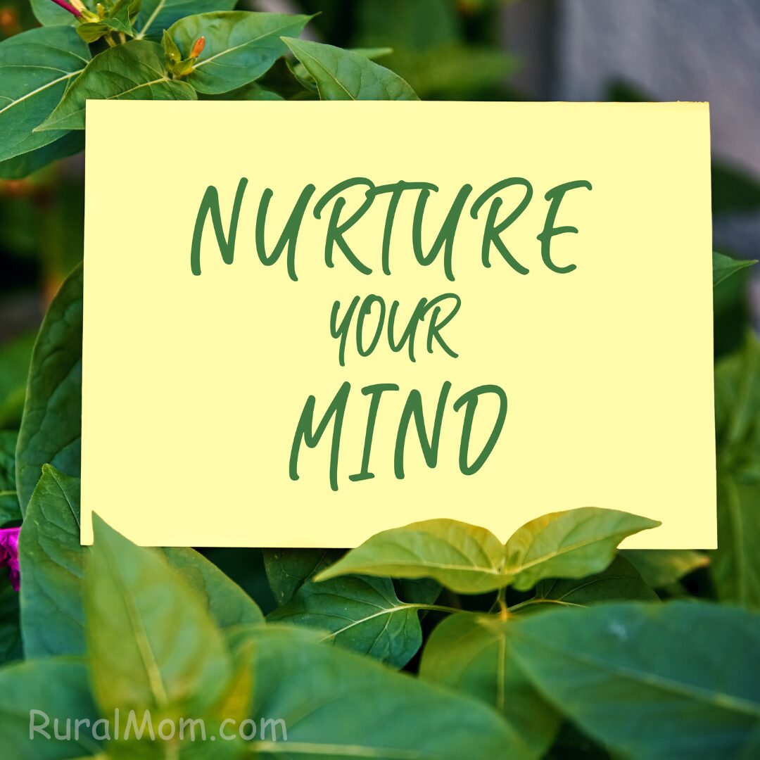 How to Find Effective Mental Health Therapy in Boise Rural Mom