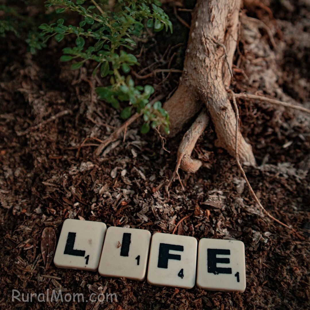 How Existential Therapy Helps Individuals Find Meaning in Life Rural Mom